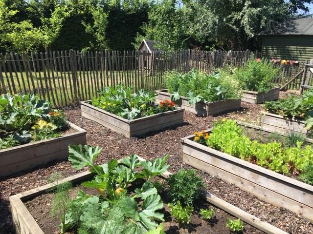 Foto's :: www.psycholoogjasmijn.be